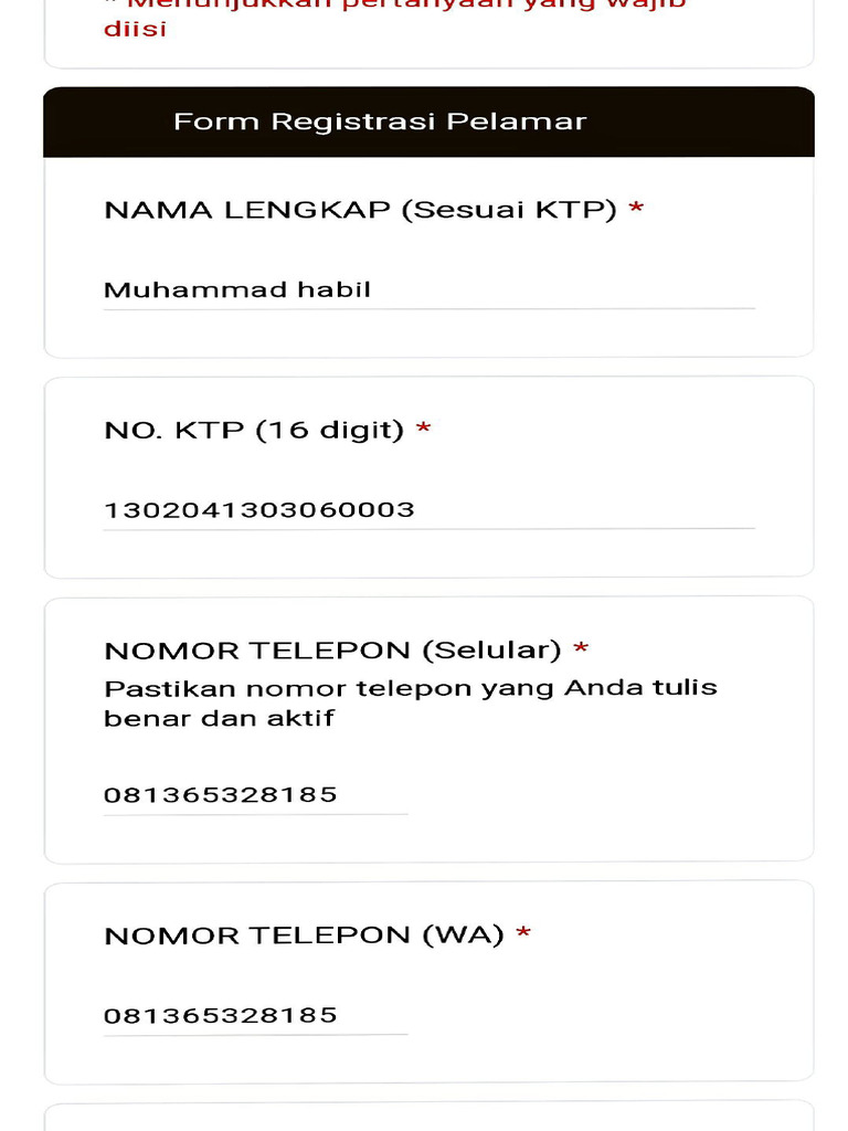 PDF Muhammad Habil | PDF