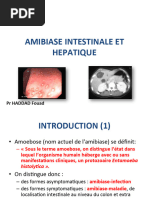 Amibiase Ou Amoebose | PDF | Maladies et troubles | Épidémiologie