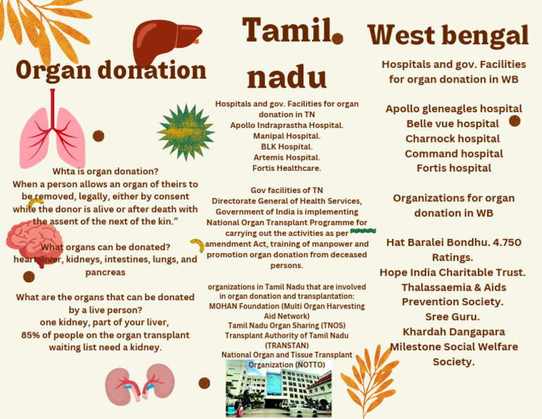 Whta is organ donation When a person allows an organ of theirs to be ...