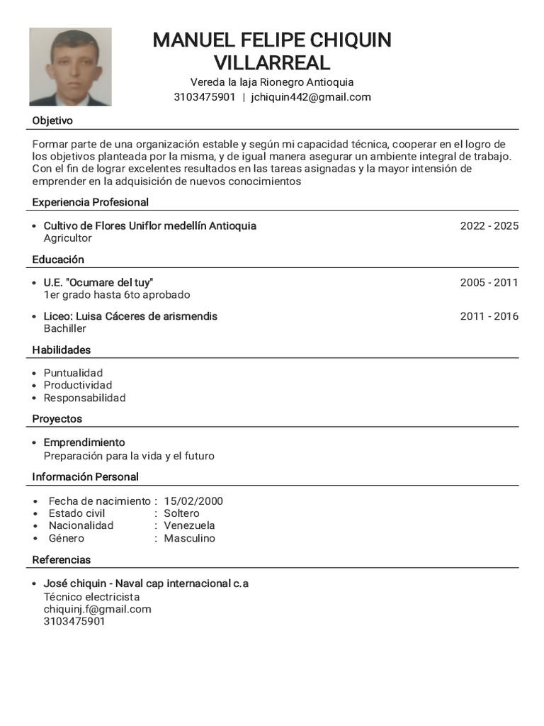 Currículum Manuel | PDF