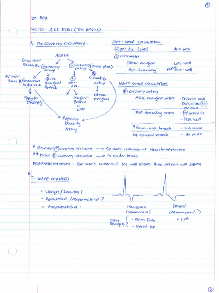 Emergency Physician's ECG Course - Notes | PDF