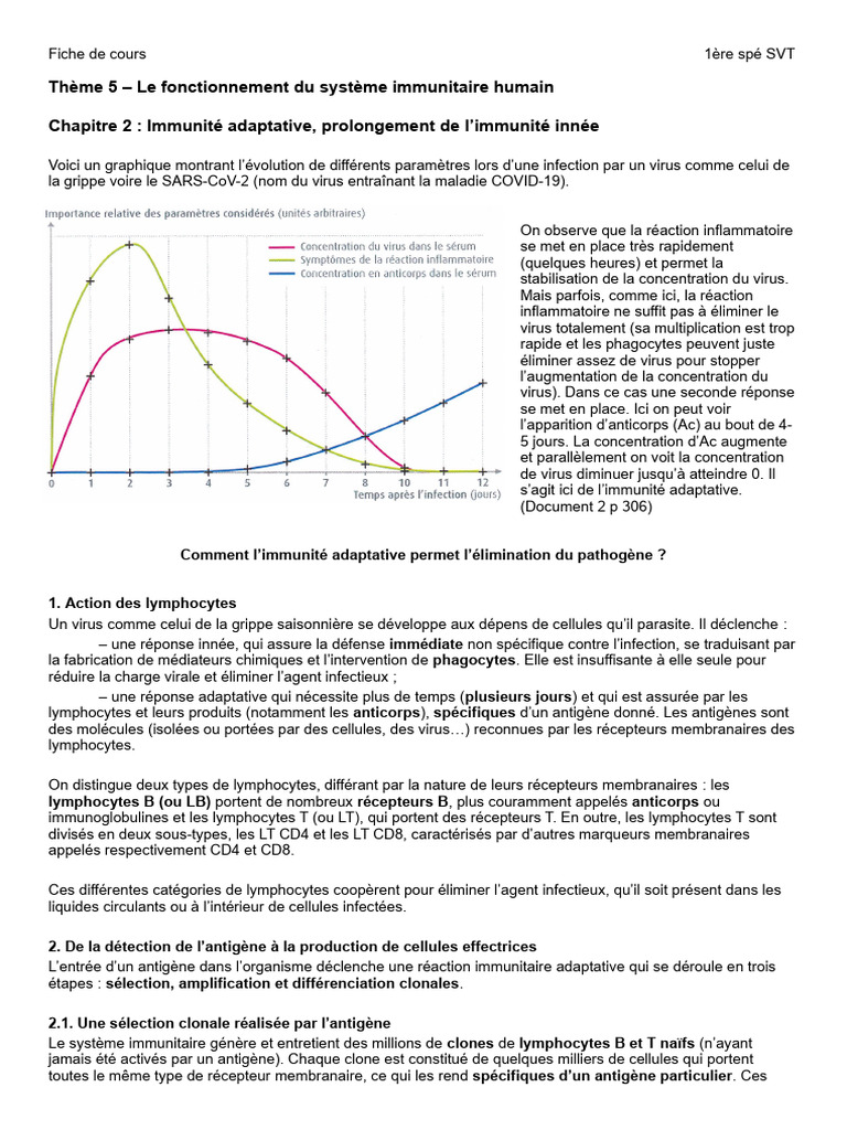 Immunité Adaptative : Lymphocytes et Anticorps | PDF | Système ...