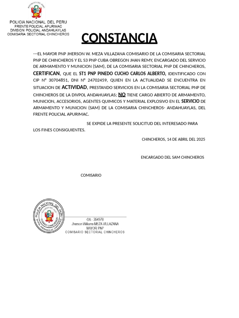 Constancia Pinedo | PDF