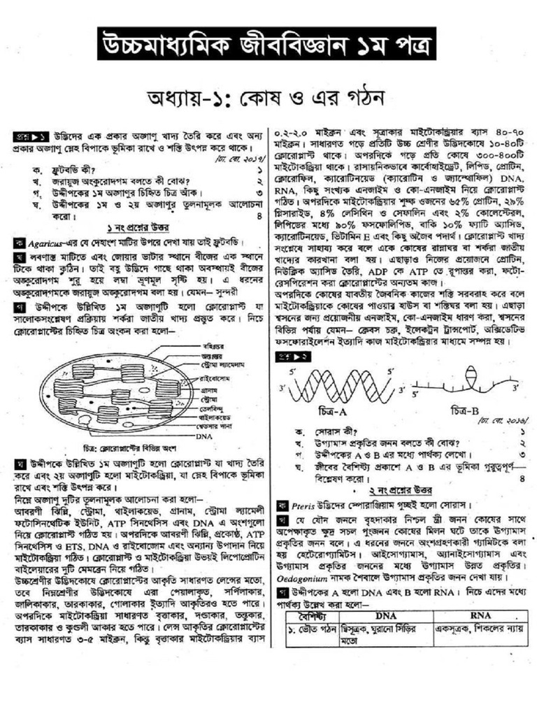 HSC Biology 1st Paper CQ | PDF