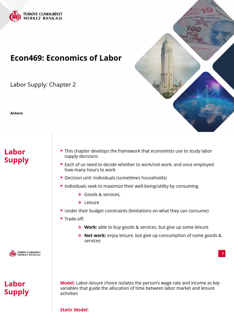 Econ469-Labor Economics-Borjas Ch2 | PDF | Labour Economics | Supply (Economics)