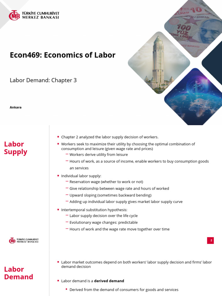 Labor Demand and Supply Analysis | PDF | Labour Economics | Demand