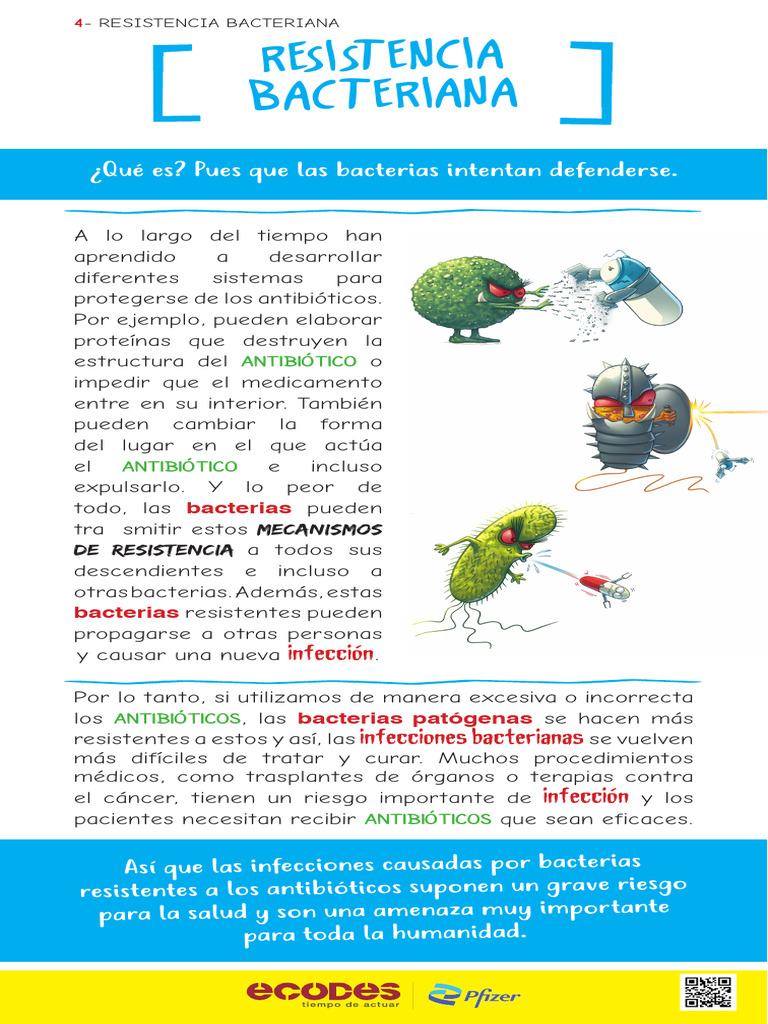 Exposicion Rollup 4 | PDF