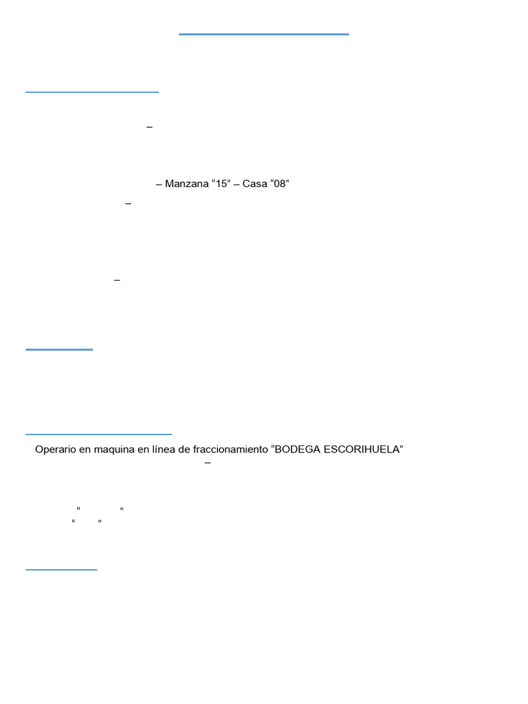 CV Adrian Agustin Arequita-1 | PDF