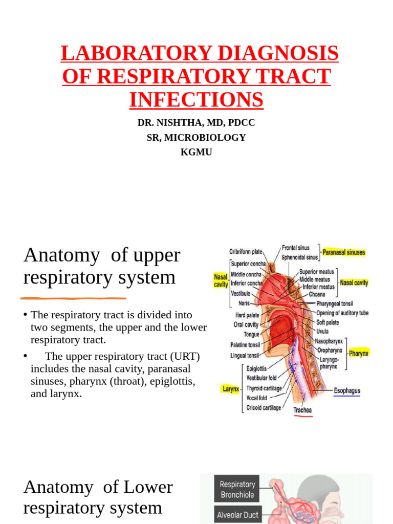 Lab Diagnosis of Respiratory Diseases | PDF | Pneumonia | Respiratory Tract