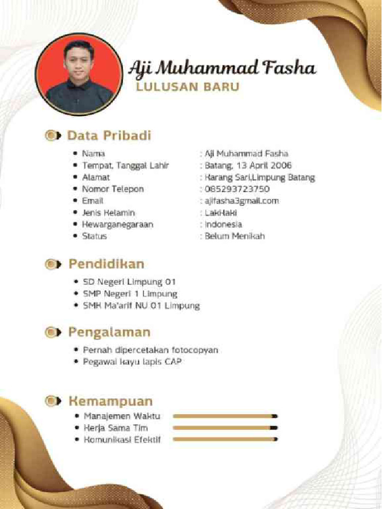 CV AJI MUHAMMAD FASHA 1 | PDF