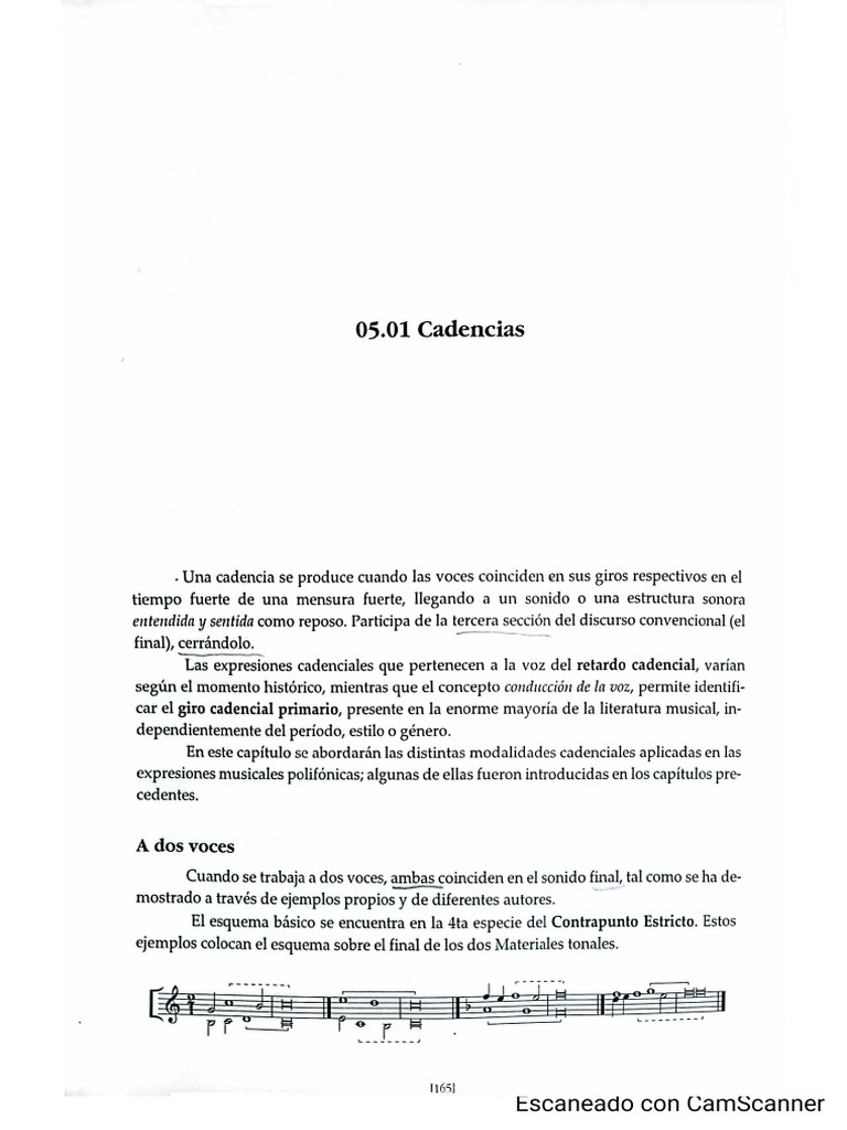CADENCIAS Checci | PDF