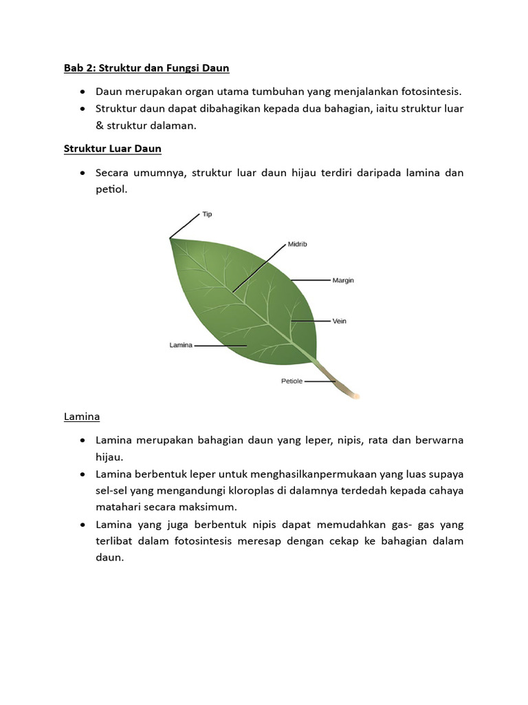 Form 5 Biologi Bab 2 | PDF