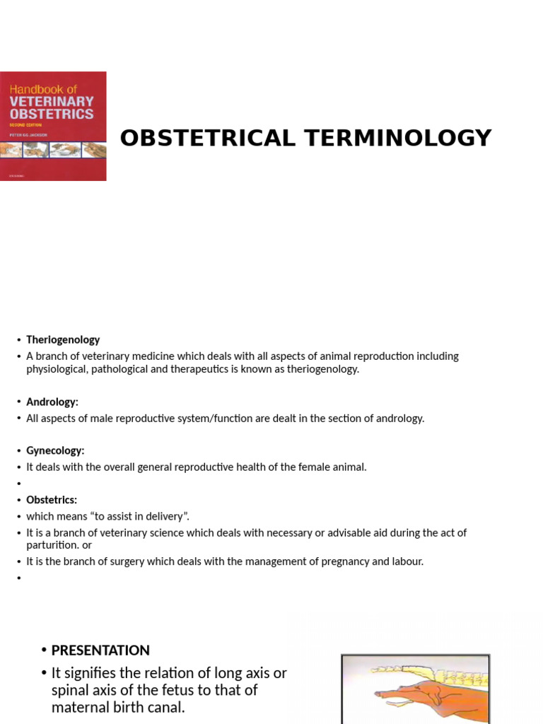 Obstetrical Terminology | PDF