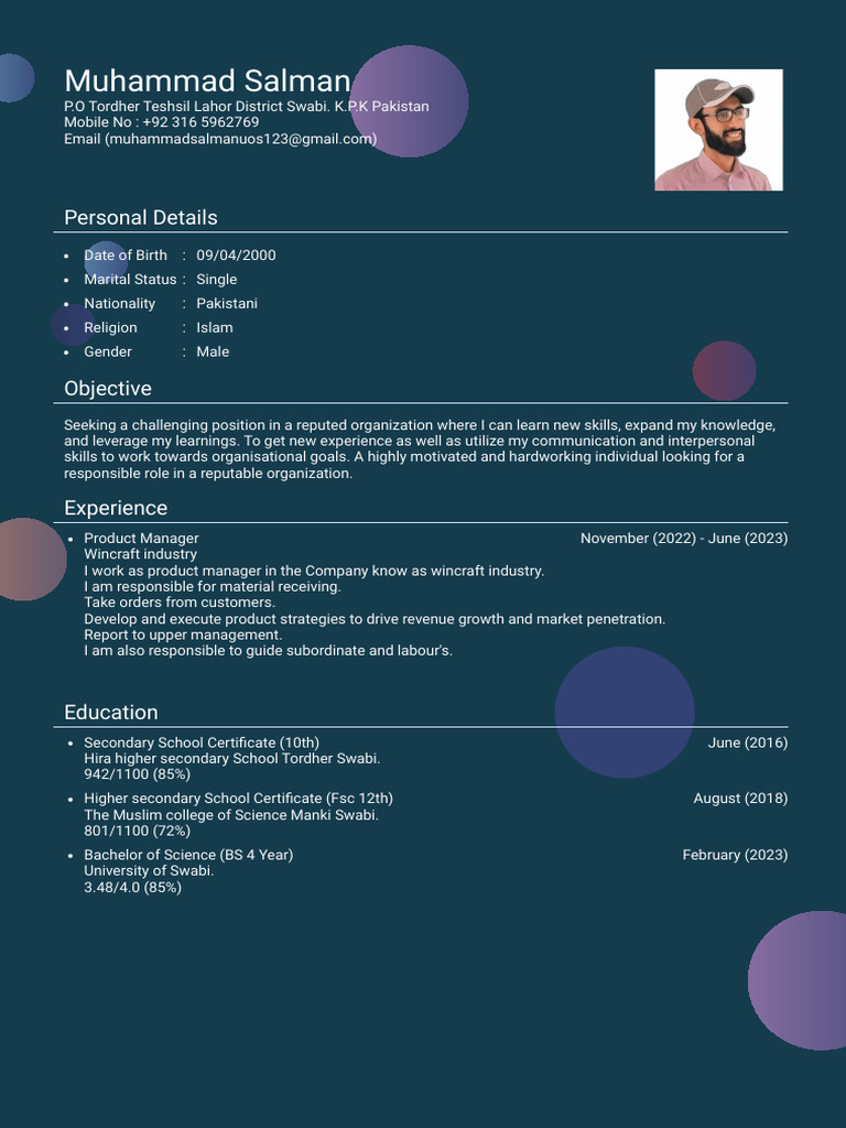 Muhammad Salman's Resume Overview | PDF | Pakistan