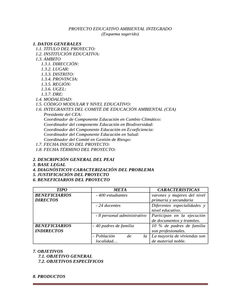 Modelo PEAI 2025 | PDF