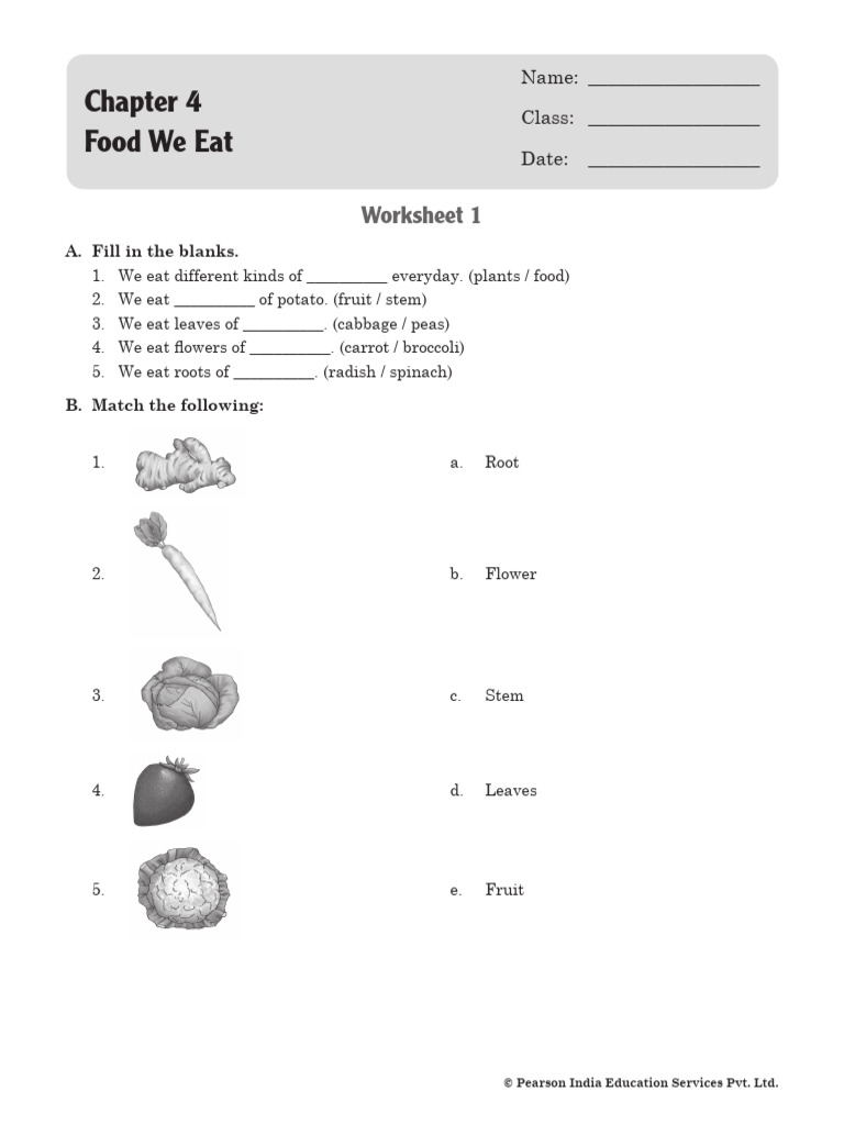 Food We Eat Worksheet for Kids | PDF