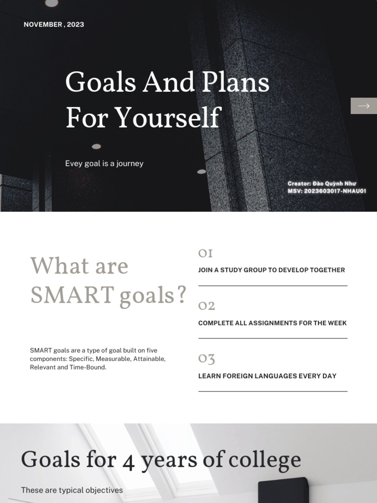 Goals and Plans | PDF