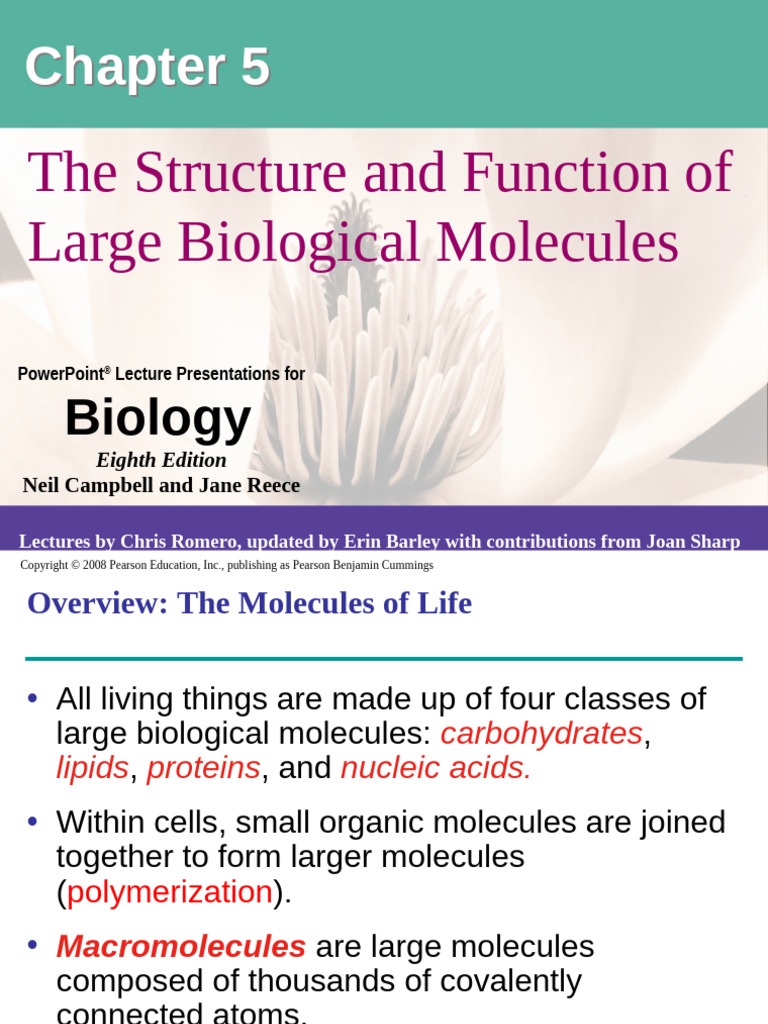 8 Biological Molecules | PDF | Nucleotides | Protein Structure