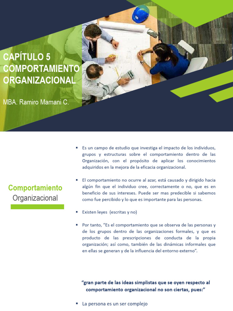 PPT Capitulo 4 (2) | PDF | Percepción | Comportamiento