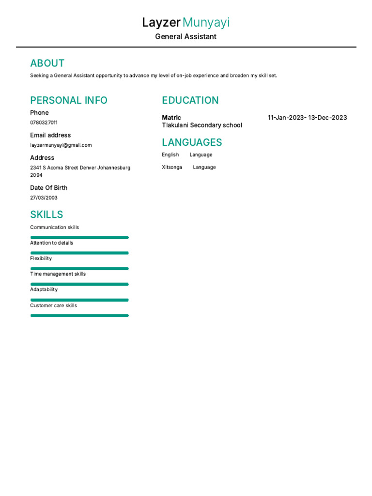 Layzer Munyayi CV | PDF