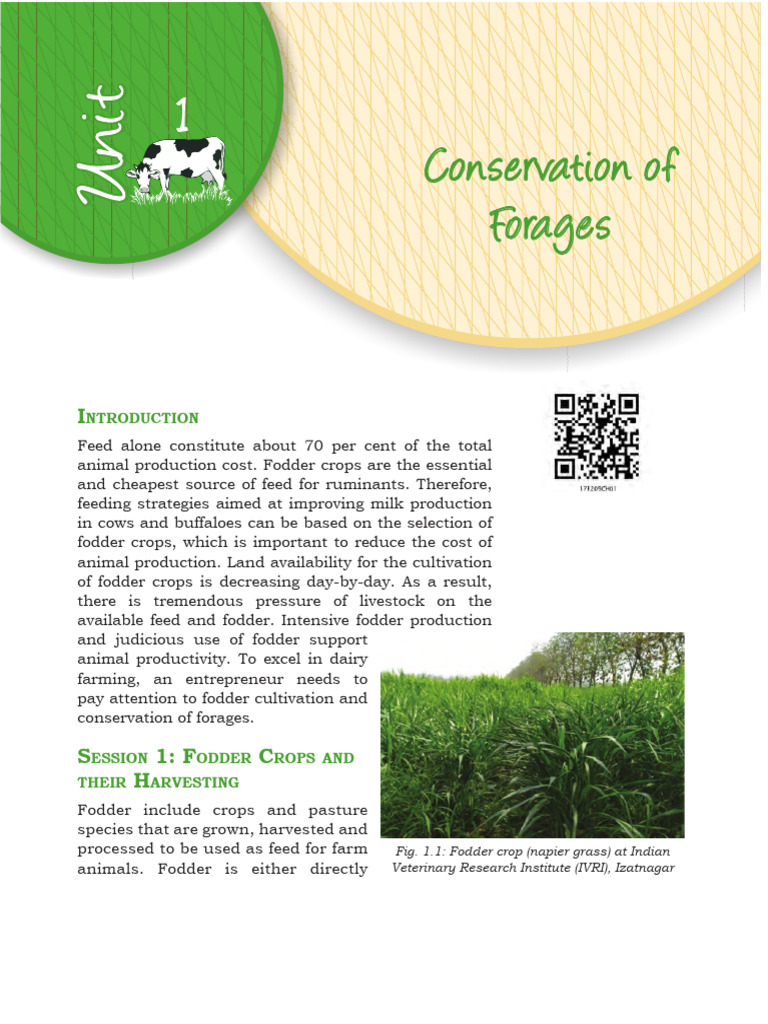 UNIT 1 Conservation of Forages | PDF | Hay | Agriculture