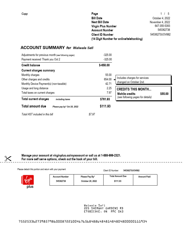 Account Summary: Credits This Month.. | PDF | Payments | Credit Card