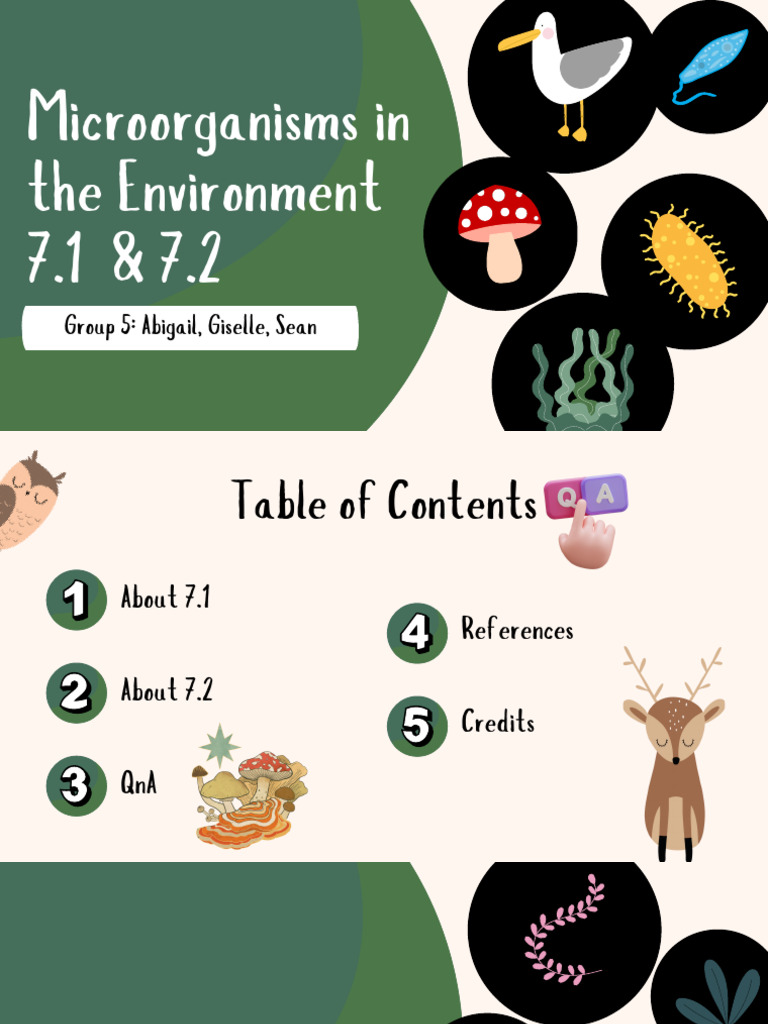 Microorganisms in The Environment 7.1 & 7.2 | PDF | Microorganism | Foods