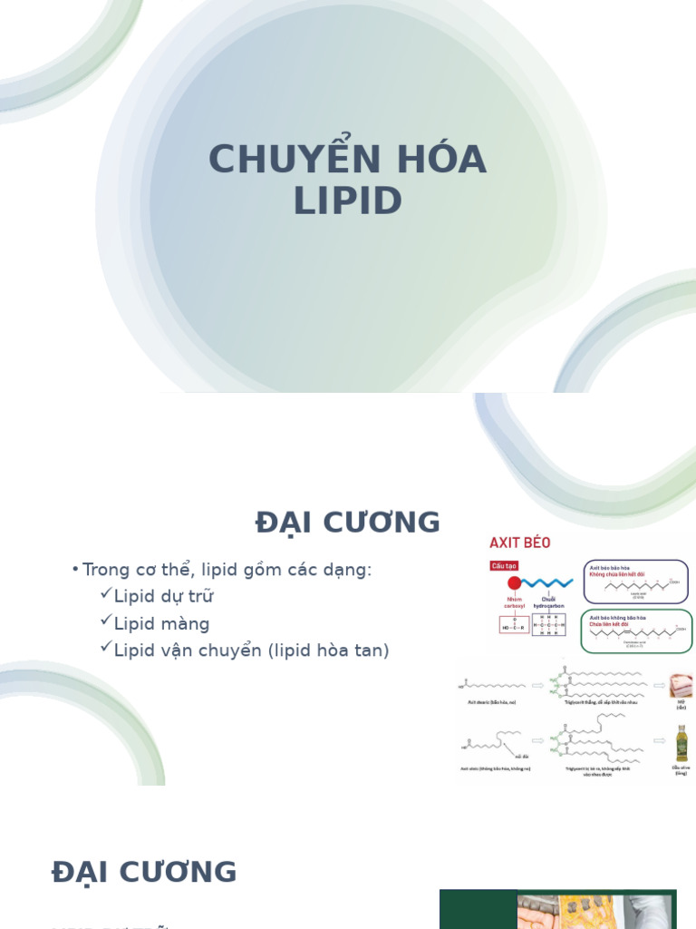 Chuyển Hóa Lipid | PDF