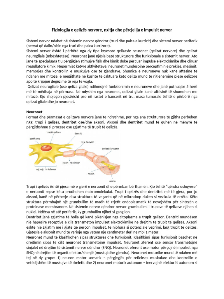 Leksioni 2-neuronet (1) | PDF