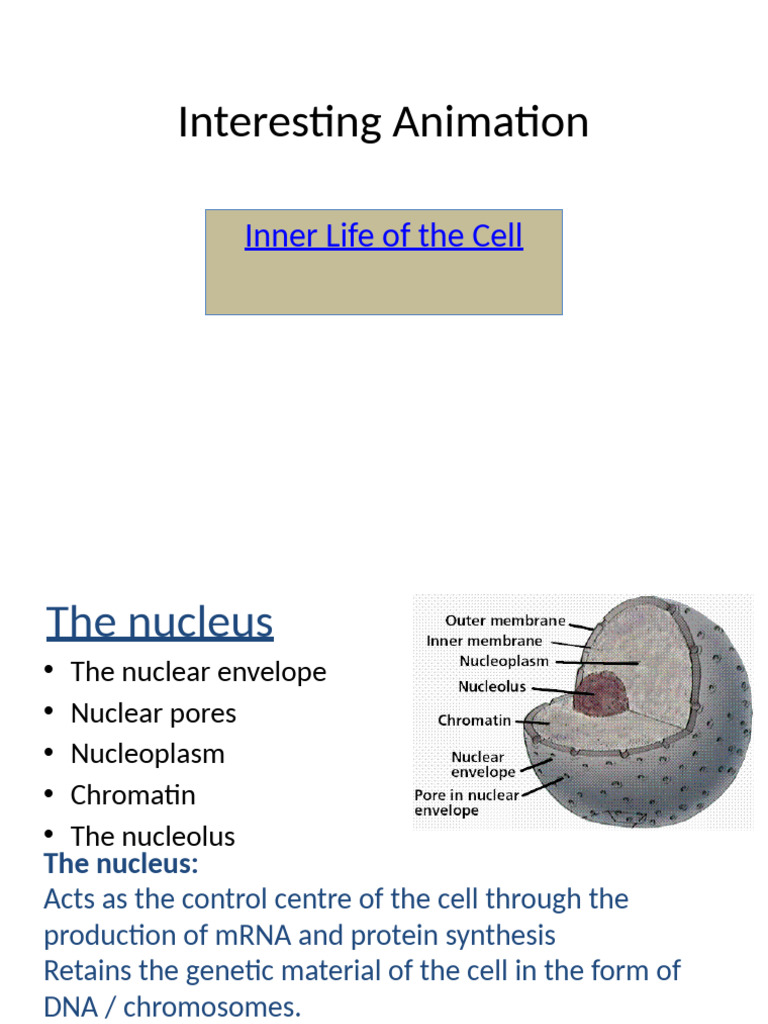 Cell Organelles Lesson1 Sem | PDF | Cell (Biology) | Endoplasmic Reticulum