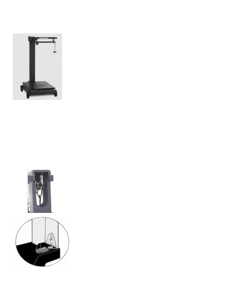Calibration of Platform Scale & Measurements of Density, Specific ...