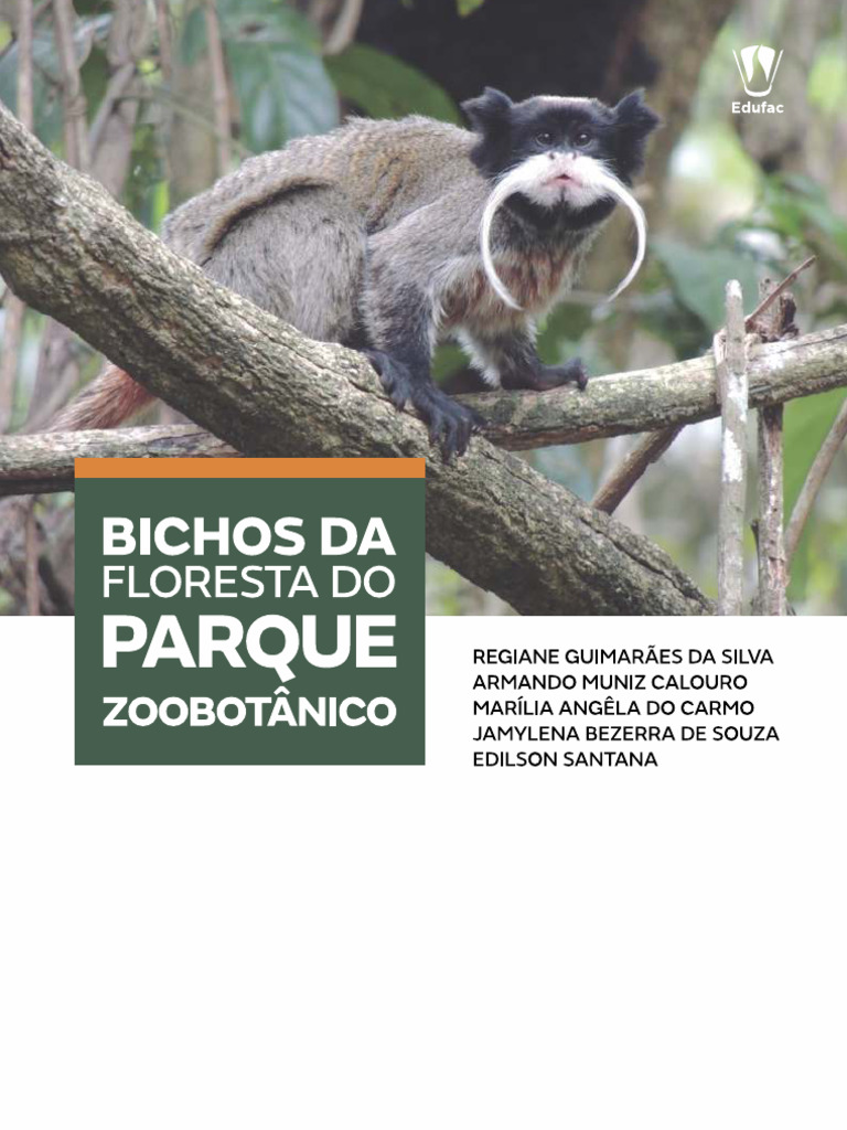 Regiane Guimaraes Da Silva e Outros - Bichos Da Floresta Do Paraque ...