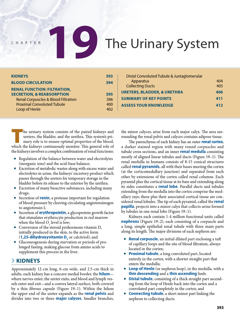 MD HISTOLOGY Mescher 2016 Junqueiras Basic Histology Text and Atlas 14e 15e2018 LUD061318-406 ...