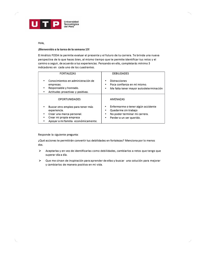 IVU Actividad 13 - Análisis Foda | PDF