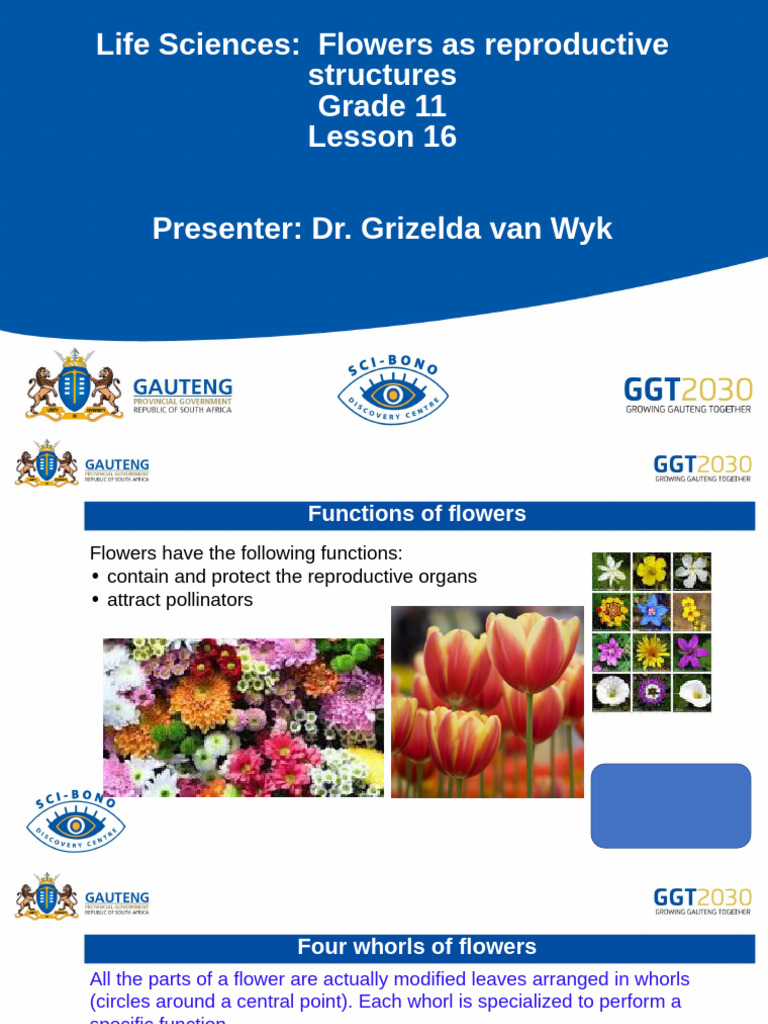 Functions and Structures of Flowers | PDF | Flowers | Petal