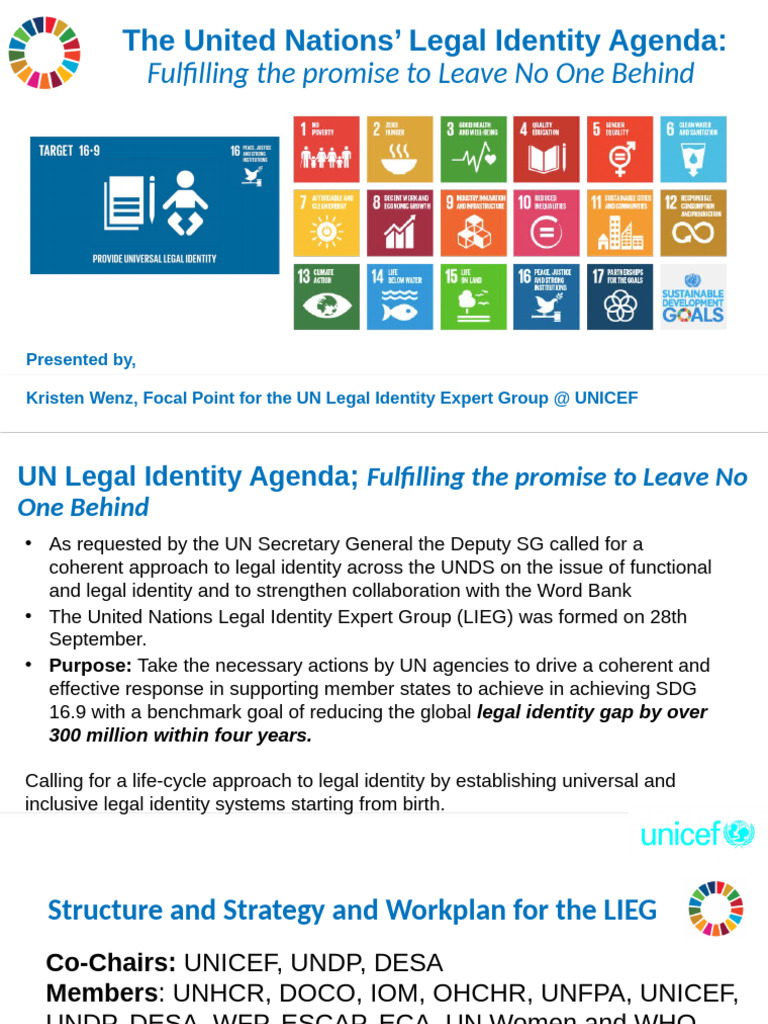 UN Legal Identity Agenda Overview | PDF | United Nations ...