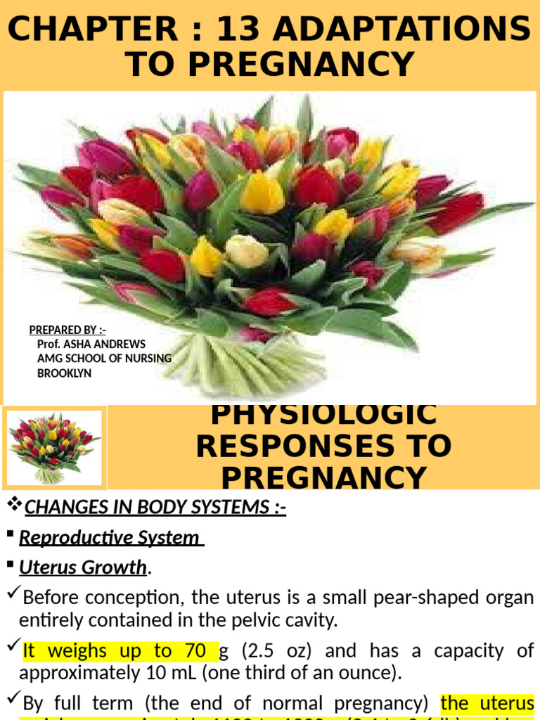 Chapter 13 Adaptations to Pregnancy1 | PDF | Pregnancy | Childbirth