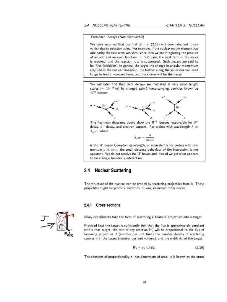 Nuclear Scattering 1 | PDF