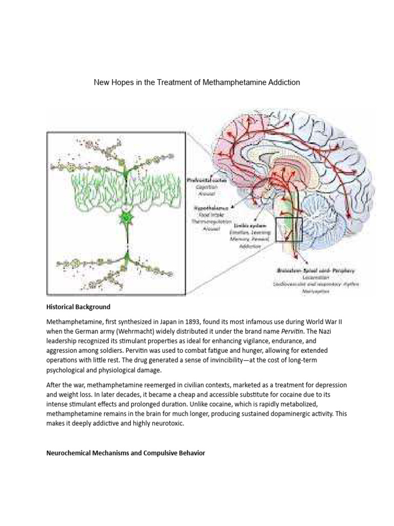 New Treatments for Meth Addiction | PDF | Methamphetamine | Dopamine