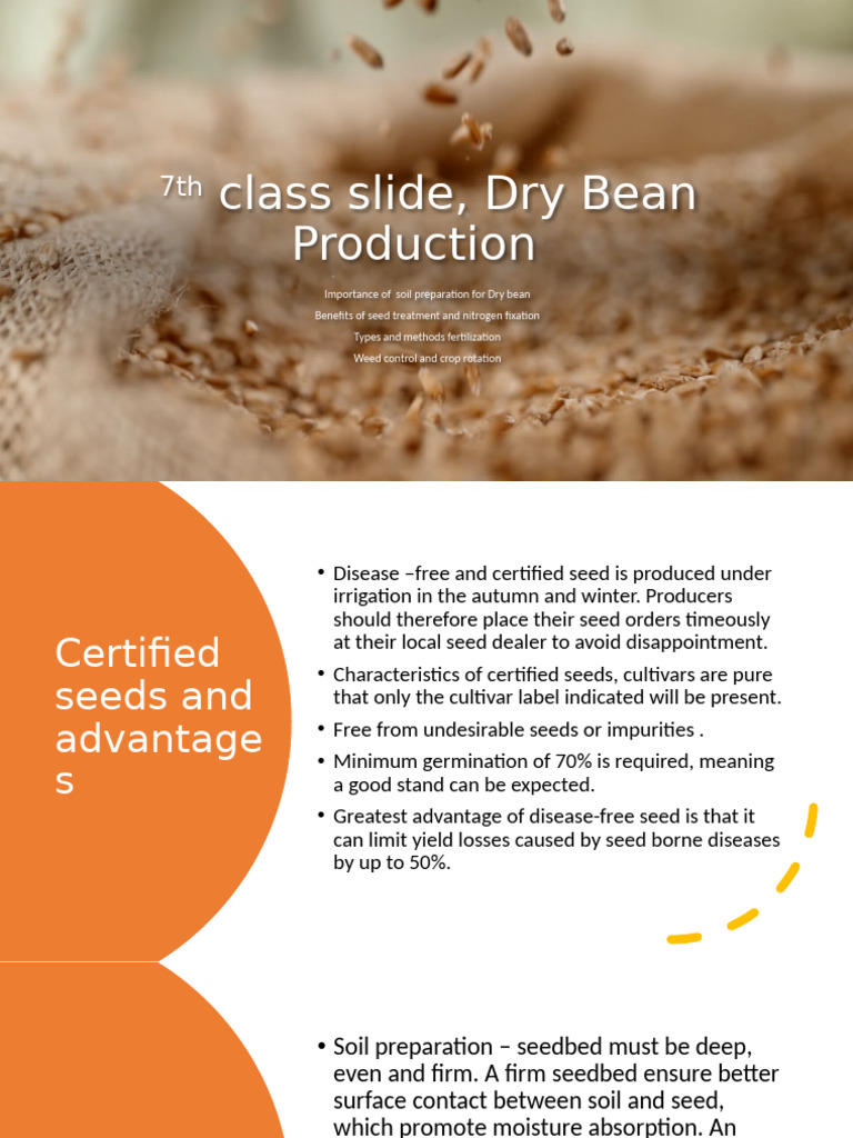 7th Class Slides Dry Bean | PDF | Crop Rotation | Cloning