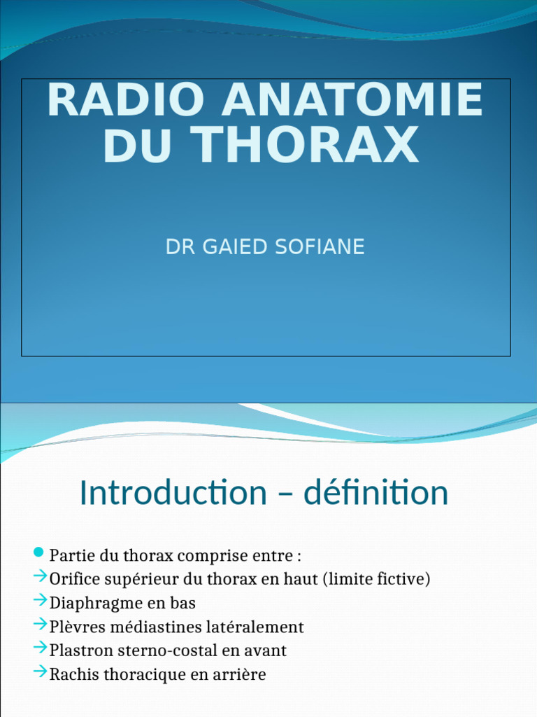 Anatomie Radiologique du Thorax | PDF | Aorte | Thorax