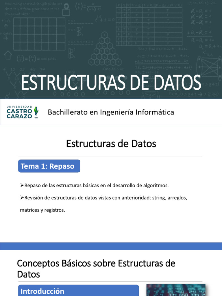 Clase 1-Estructura de Datos | PDF | Datos | Lenguaje de programación