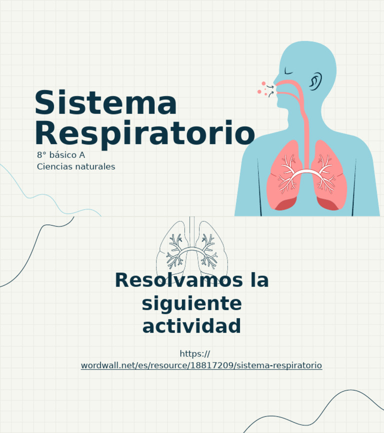 SISTEMA RESPIRATORIO 8° | PDF