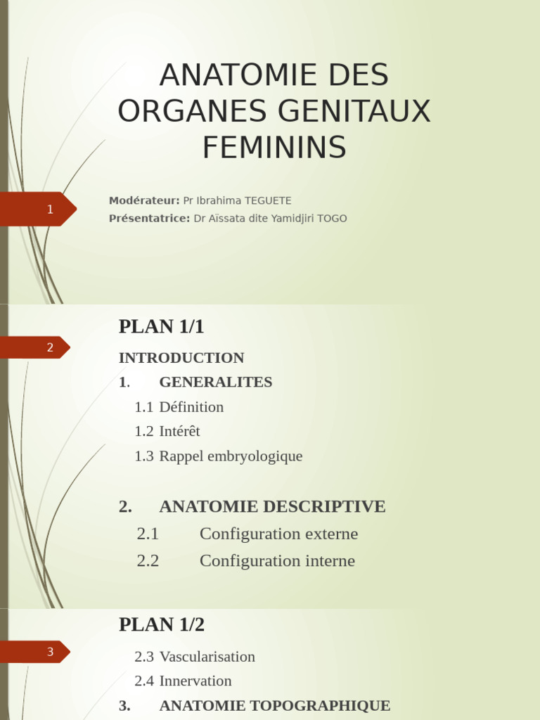 Anatomie des glandes vestibulaires | PDF | Utérus | Clitoris
