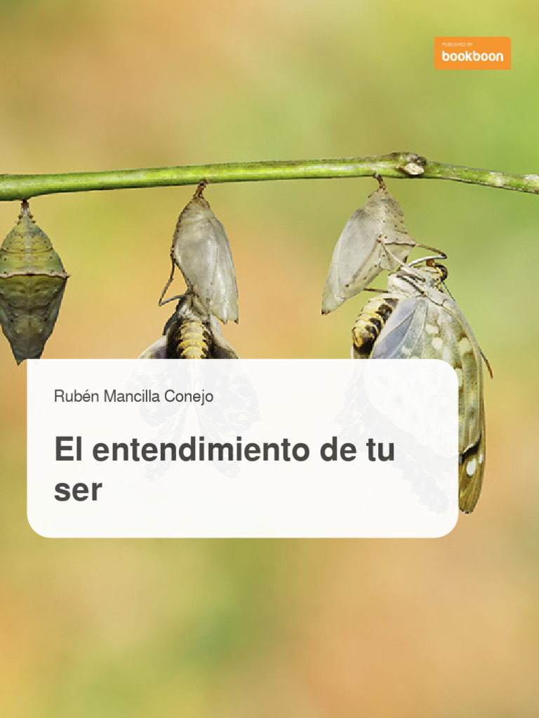 Entendimiento Personal y Transformación | PDF | Pensamiento | Experiencia