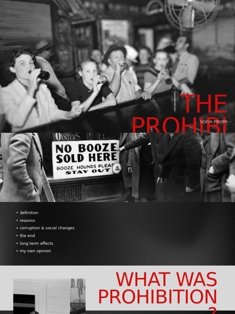 Prohibition Sofia Propp | PDF