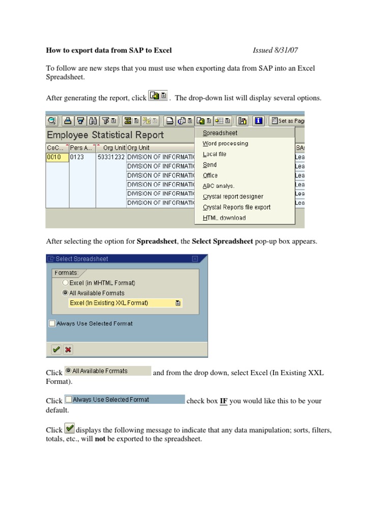 Exporting SAP Data to Excel Guide | PDF | Business | Finance & Money ...