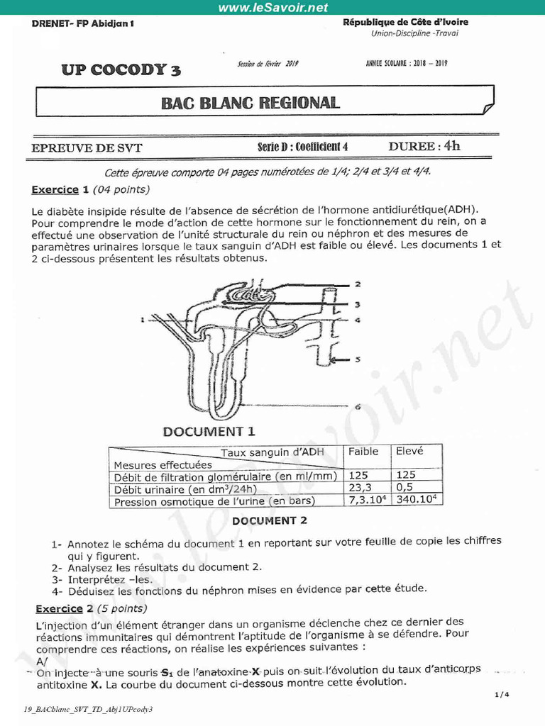 19_BACblanc_SVT_TD_Abj1UPcody3 | PDF