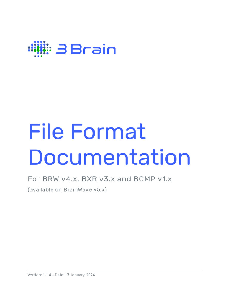 File Format Documentation | PDF | Computer File | Computer Engineering
