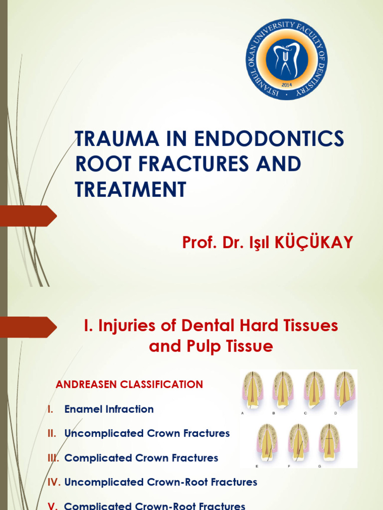 Root Fractures in Endodontics: Diagnosis & Treatment | PDF | Mouth ...